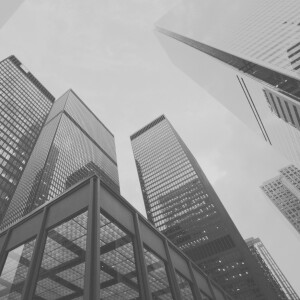 Fiona Cameron: Moving with the times – the Moveable Transactions ...